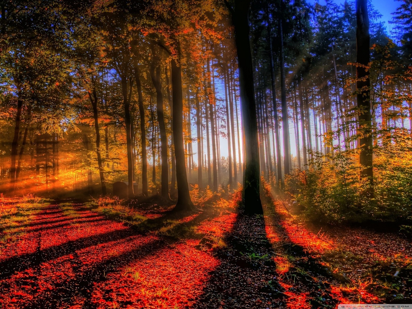 Sunny Autumn Days Wallpapers - Wallpaper Cave