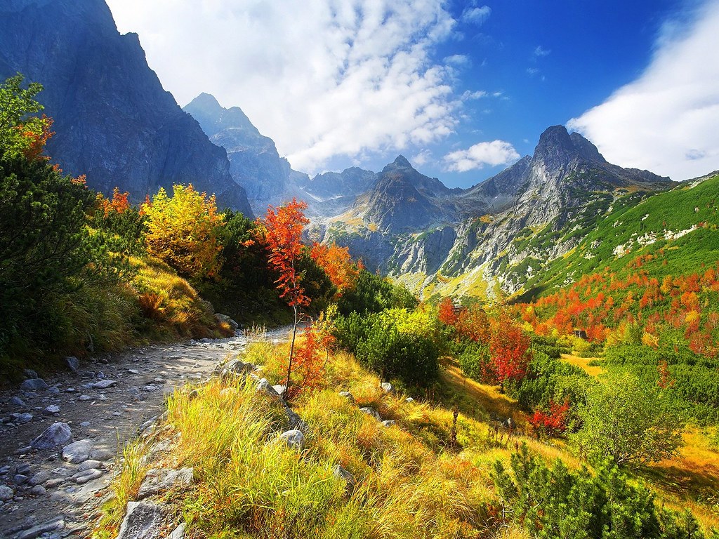 Sunny Autumn Days Wallpapers - Wallpaper Cave