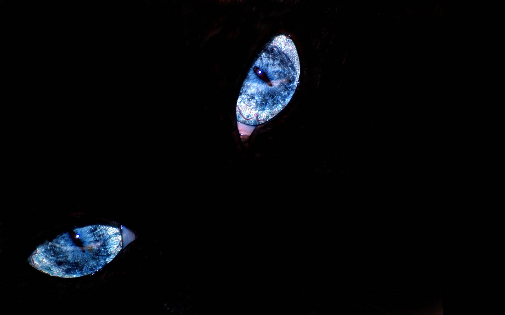 Digital Eye Wallpapers - Wallpaper Cave