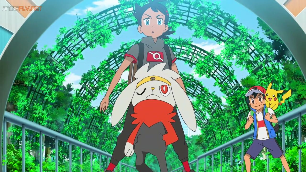 Pokémon Raboot Wallpapers - Wallpaper Cave