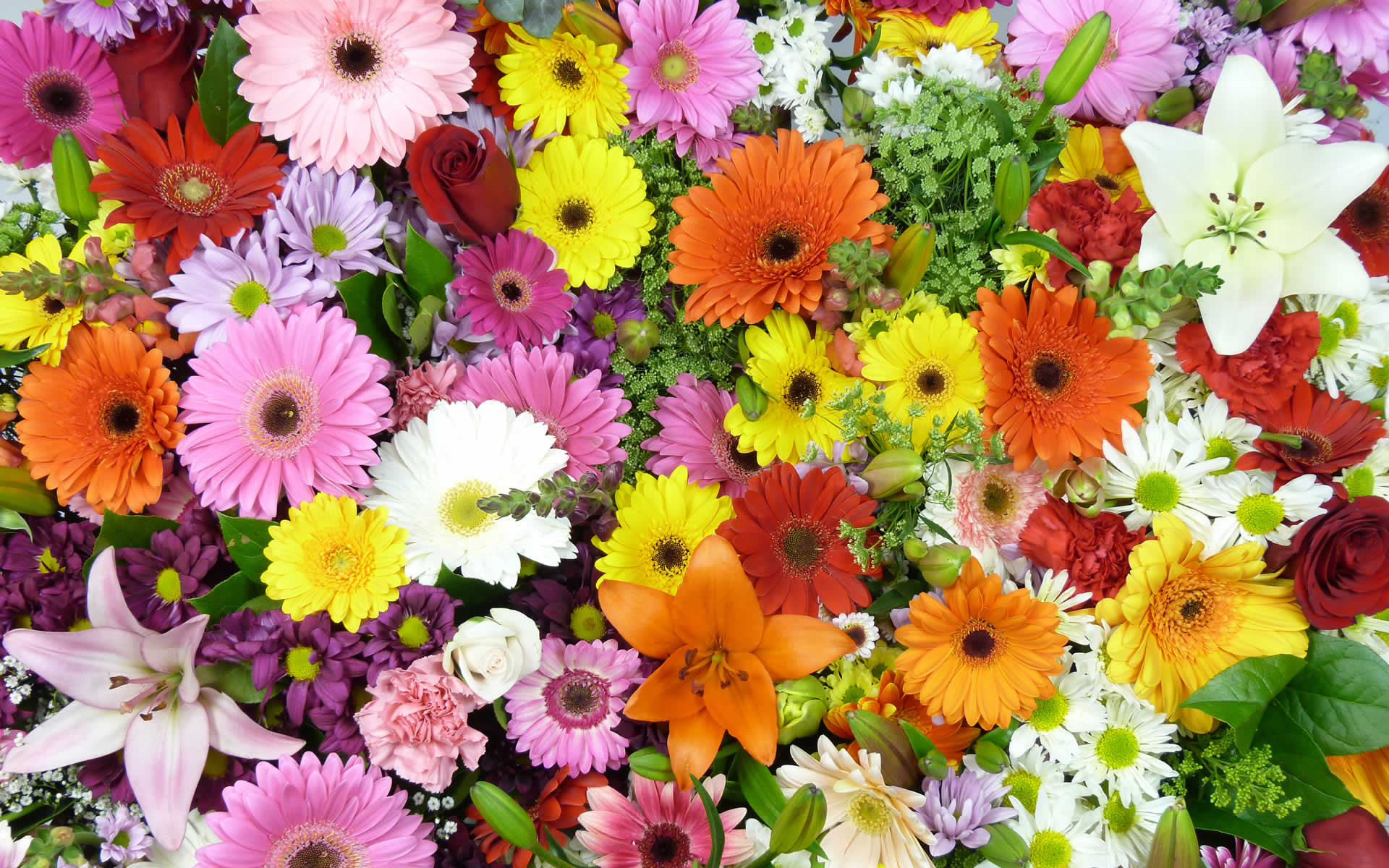 Sunshine And Flowers Wallpapers - Wallpaper Cave