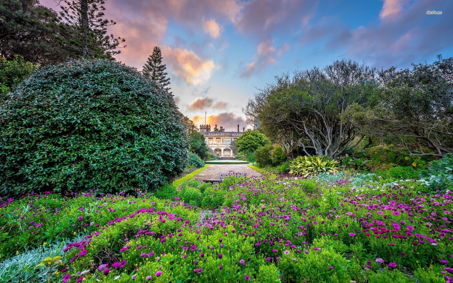 Aesthetic Outside Garden Wallpapers - Wallpaper Cave