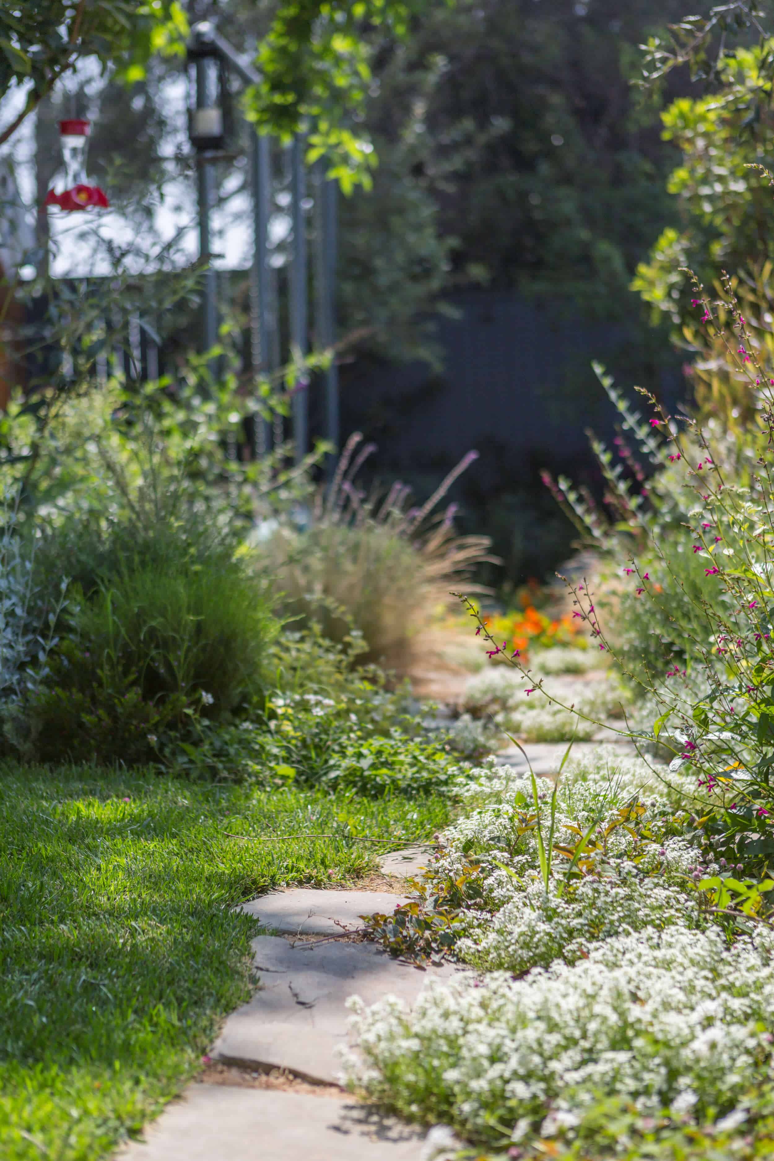 Aesthetic Outside Garden Wallpapers - Wallpaper Cave