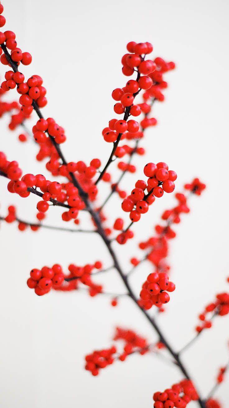 Red Preppy Wallpapers - Wallpaper Cave