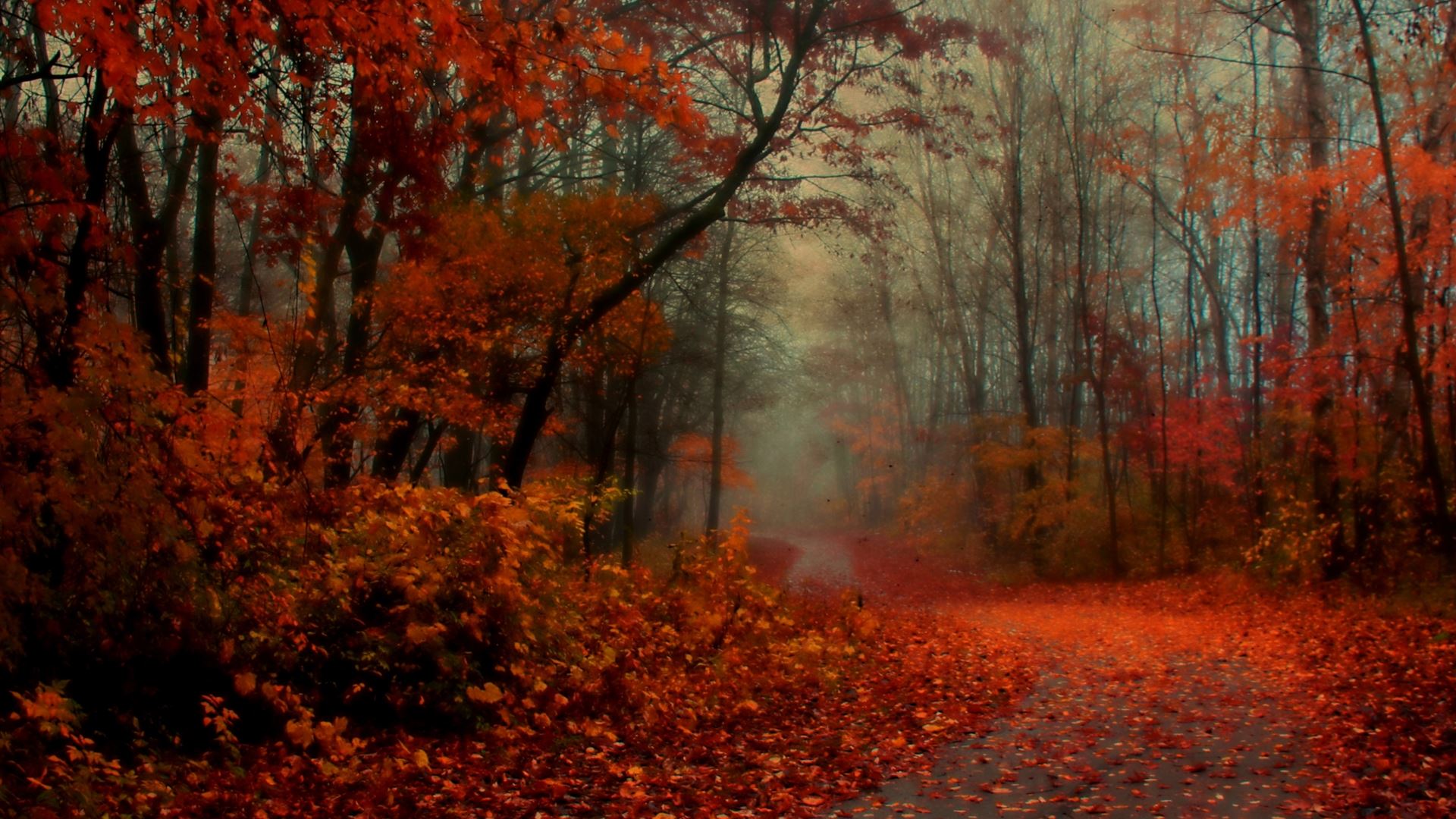 MacBook Air Autumn Wallpapers - Wallpaper Cave