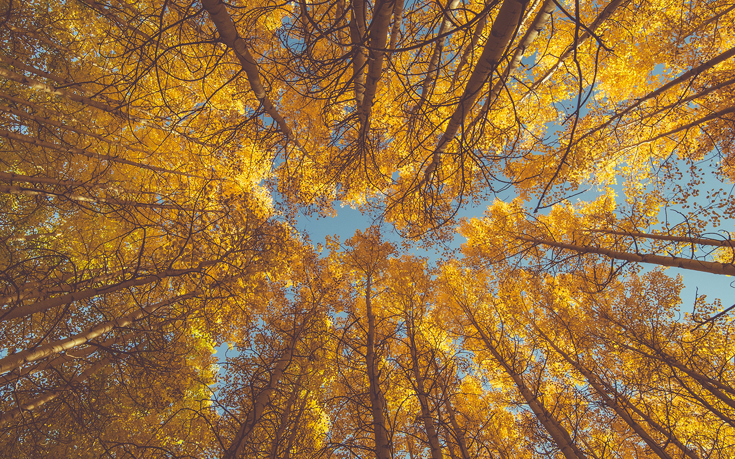 MacBook Air Autumn Wallpapers - Wallpaper Cave