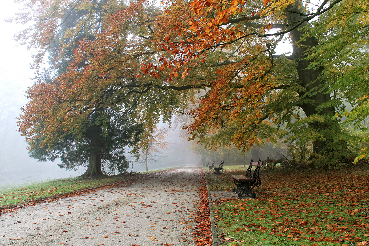 Autumn Desktop Wallpaper Belgium Seasons In Belgium: Weather And