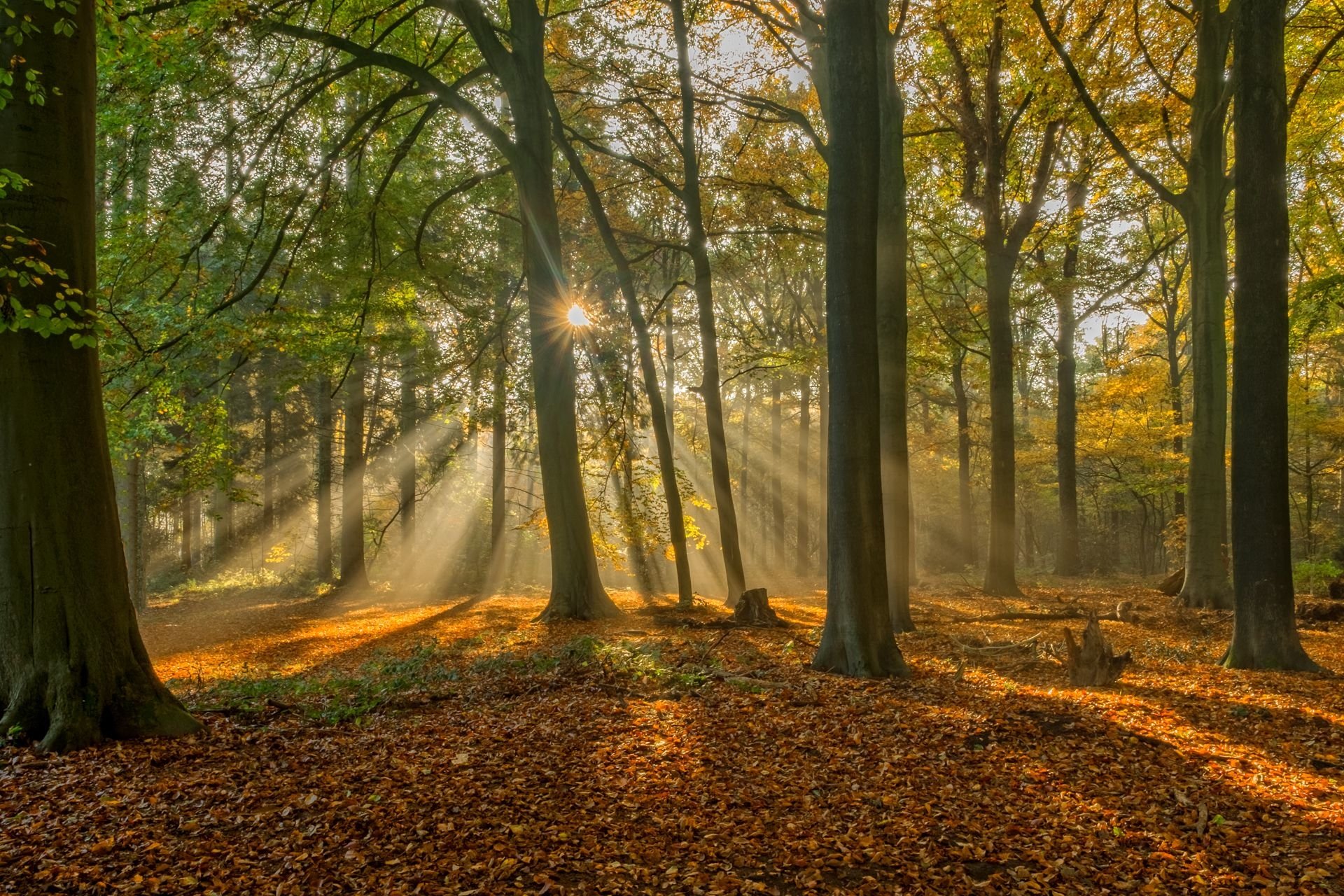 Autumn Belgium Wallpapers - Wallpaper Cave
