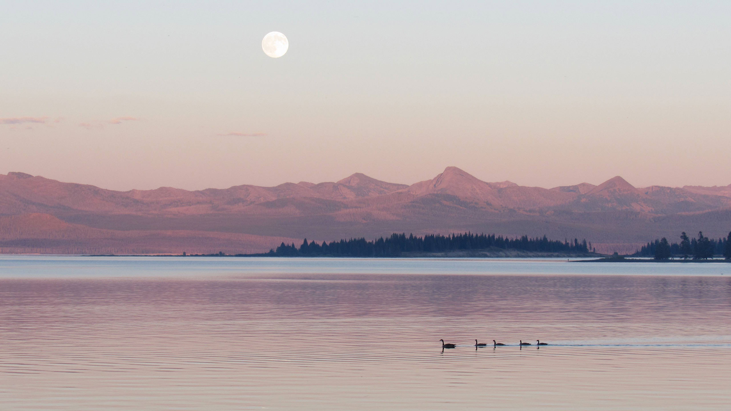 Open Space Wallpapers - Wallpaper Cave