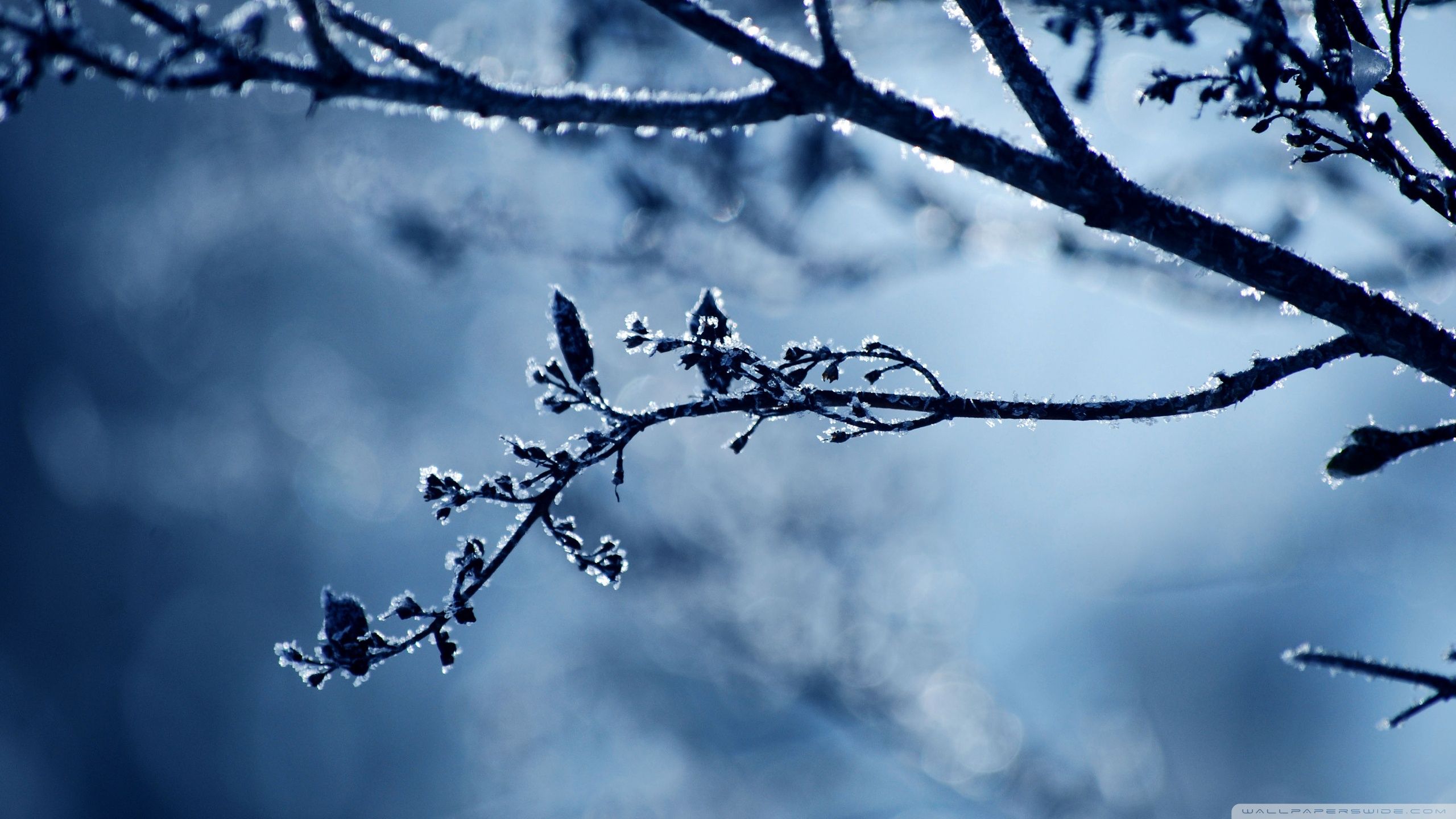 Cool Weather Wallpapers - Wallpaper Cave