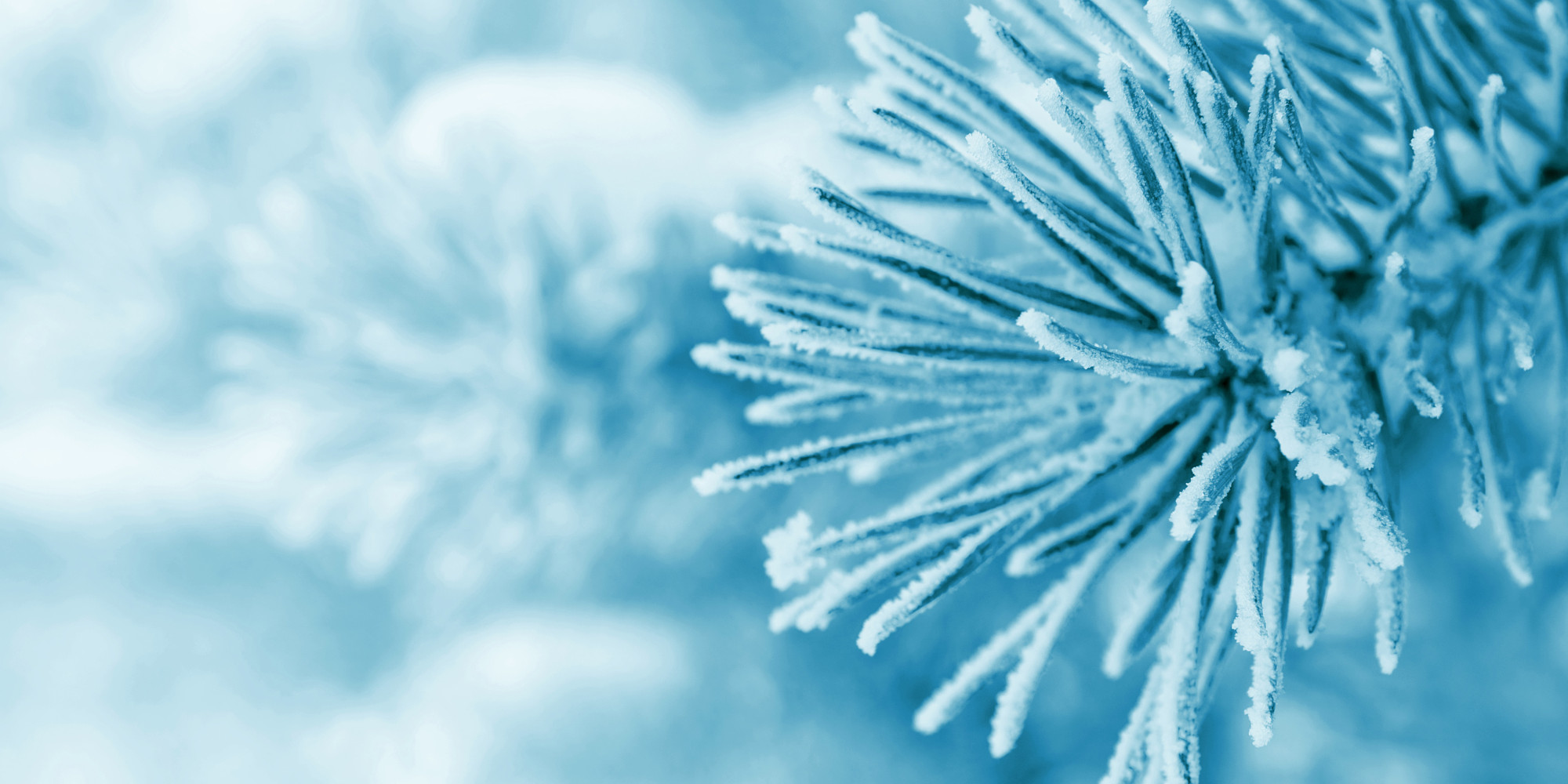 Cool Weather Wallpapers - Wallpaper Cave