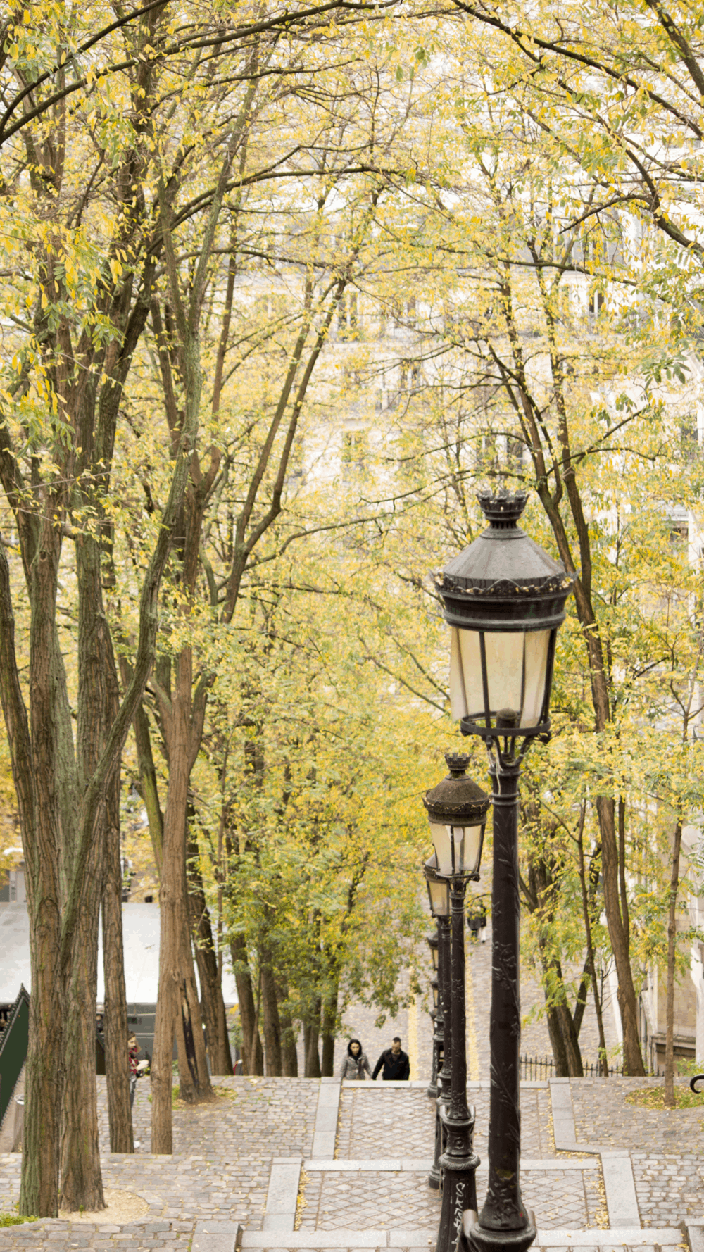 Paris Autumn Street Wallpapers - Wallpaper Cave