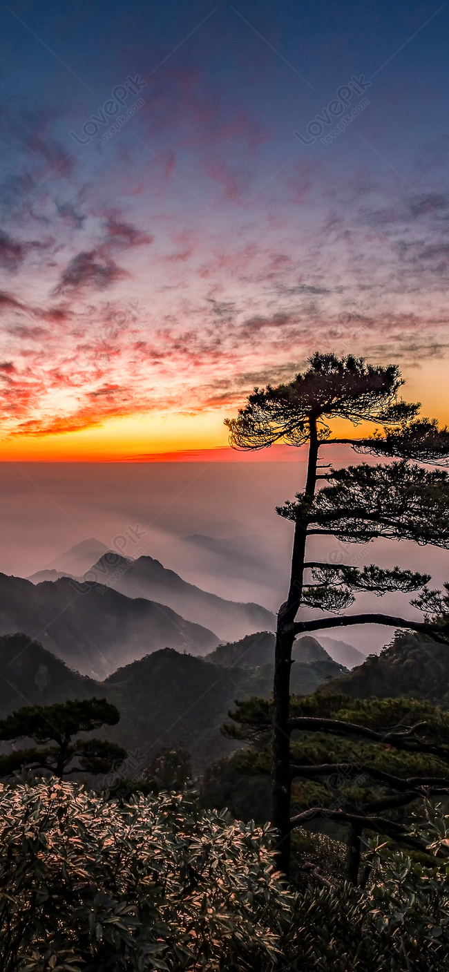 Mobile Sun Rise Wallpapers - Wallpaper Cave