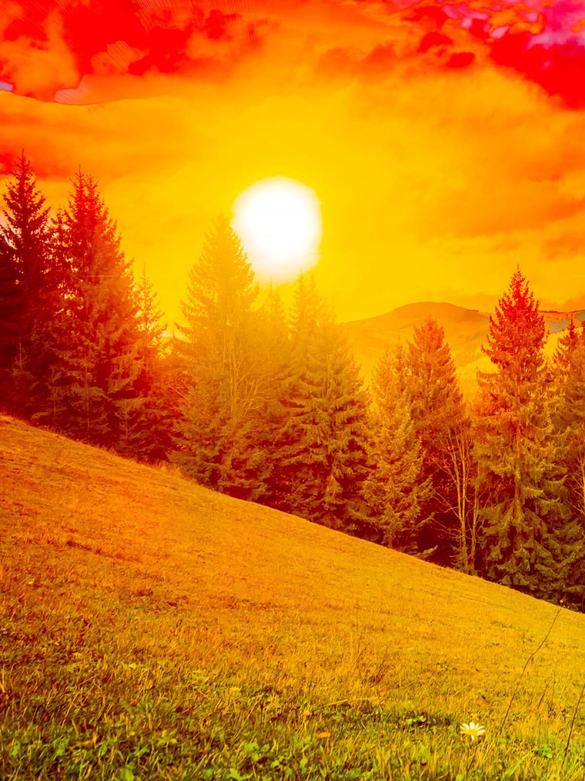 Mobile Sun Rise Wallpapers - Wallpaper Cave