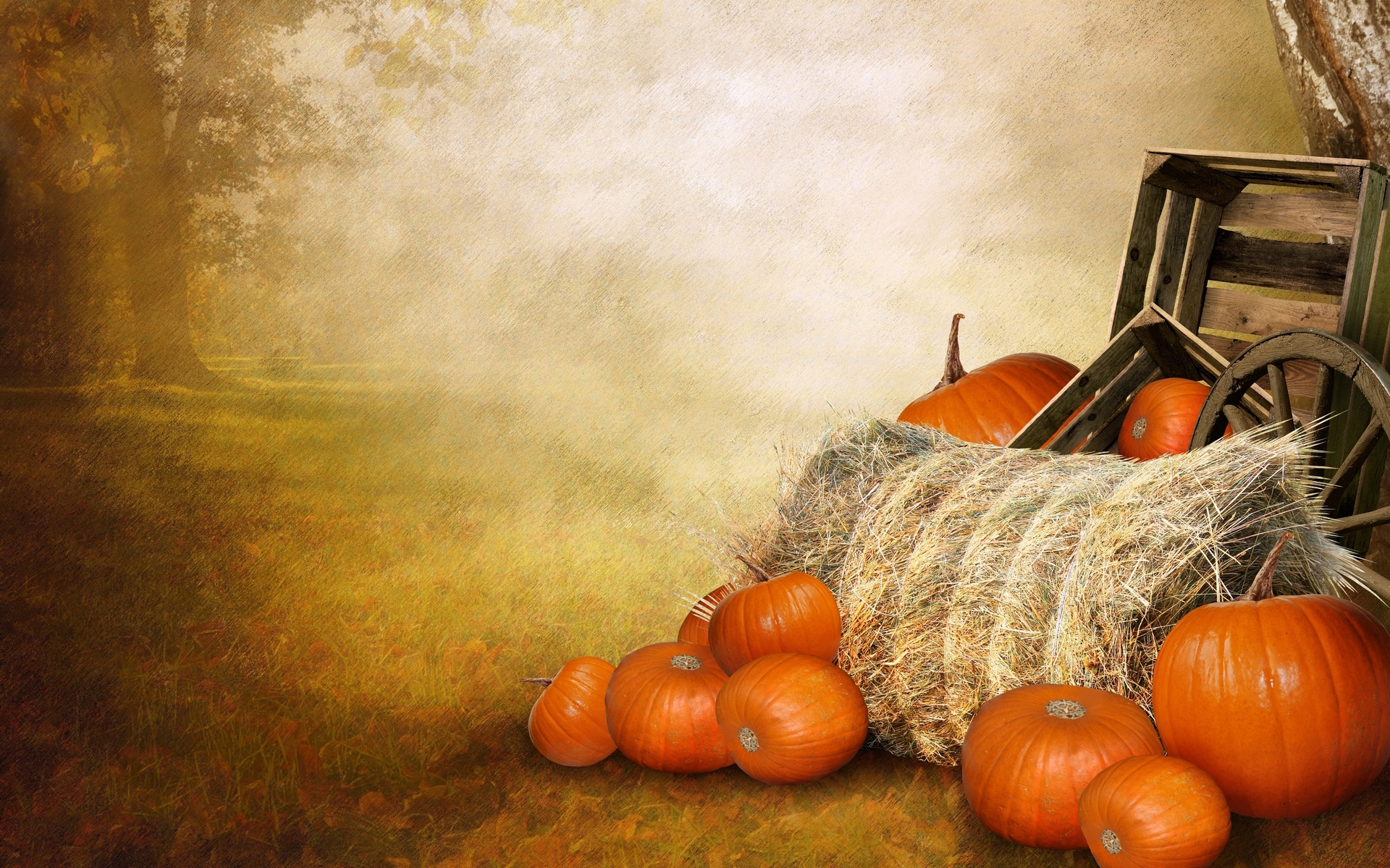 HD Autumn Pumpkin Wallpapers - Wallpaper Cave