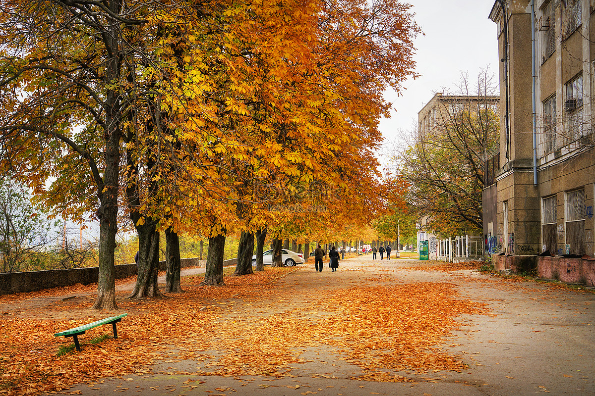 Autumn Europe Street Wallpapers - Wallpaper Cave