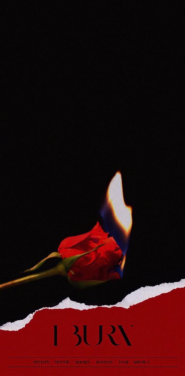 HWAA Wallpapers - Wallpaper Cave