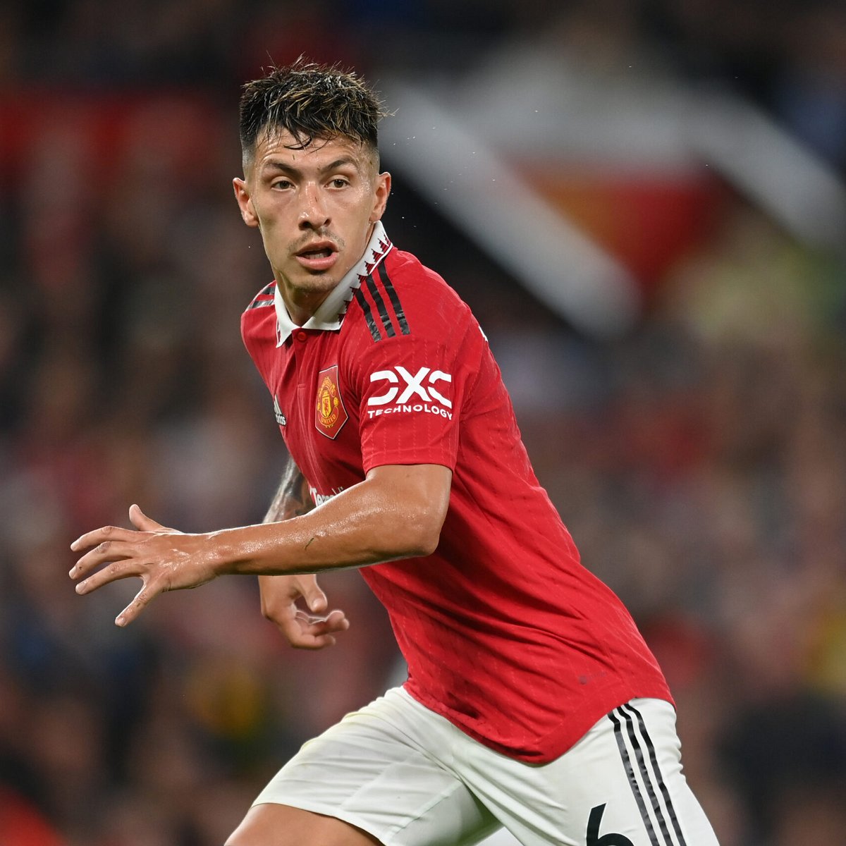 Lisandro Martinez 2022 Wallpapers - Wallpaper Cave