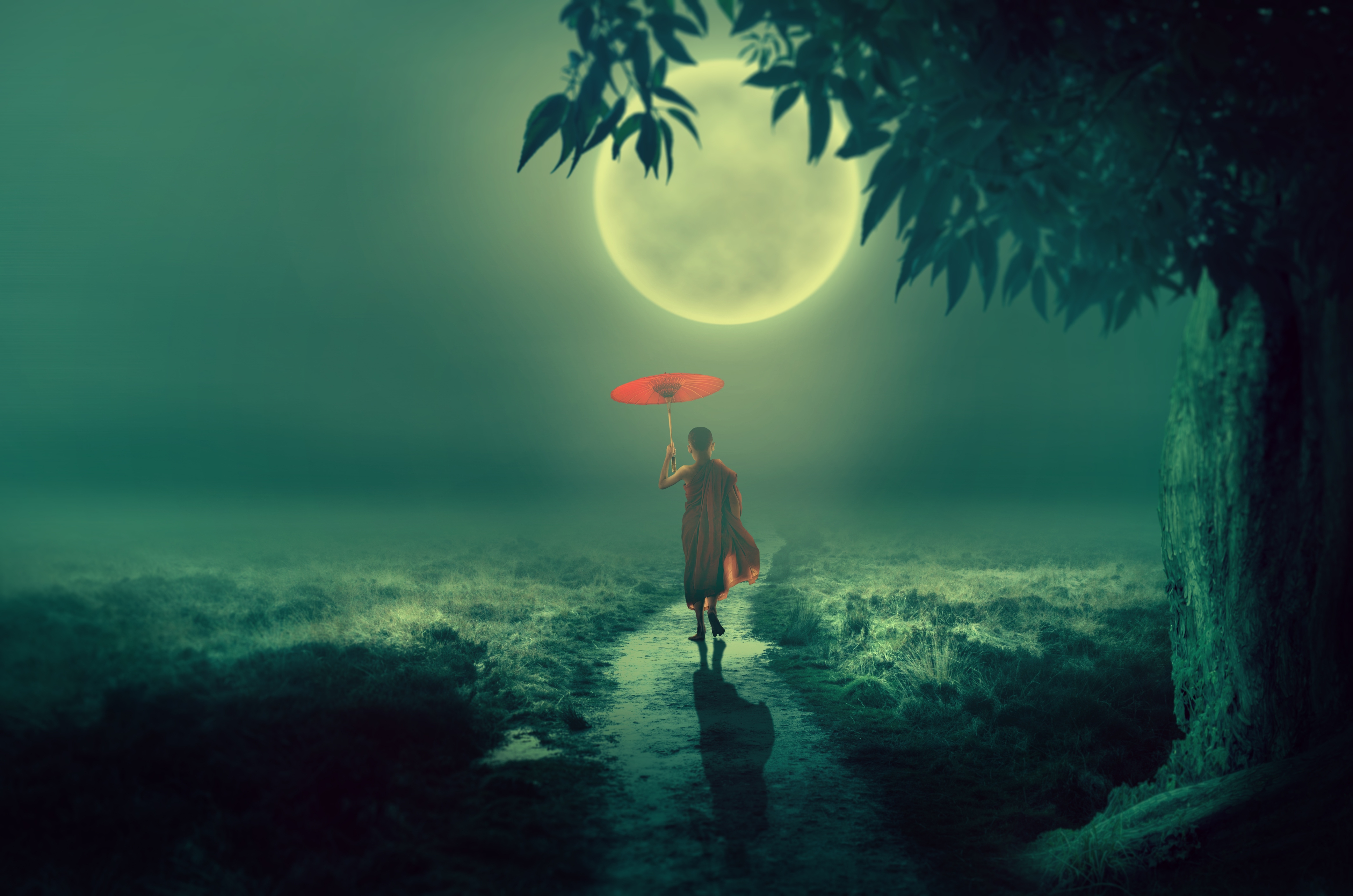 Moonlit Path Wallpapers - Wallpaper Cave