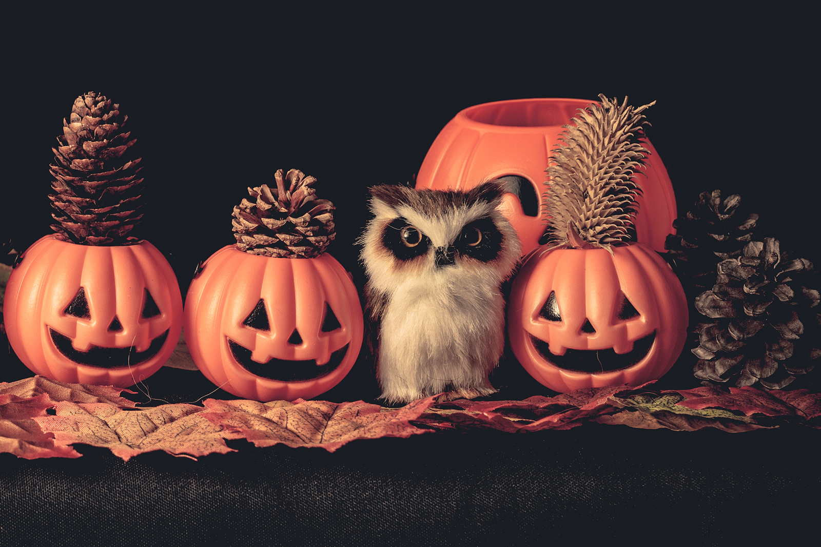 Preppy Halloween Owl Wallpapers - Wallpaper Cave
