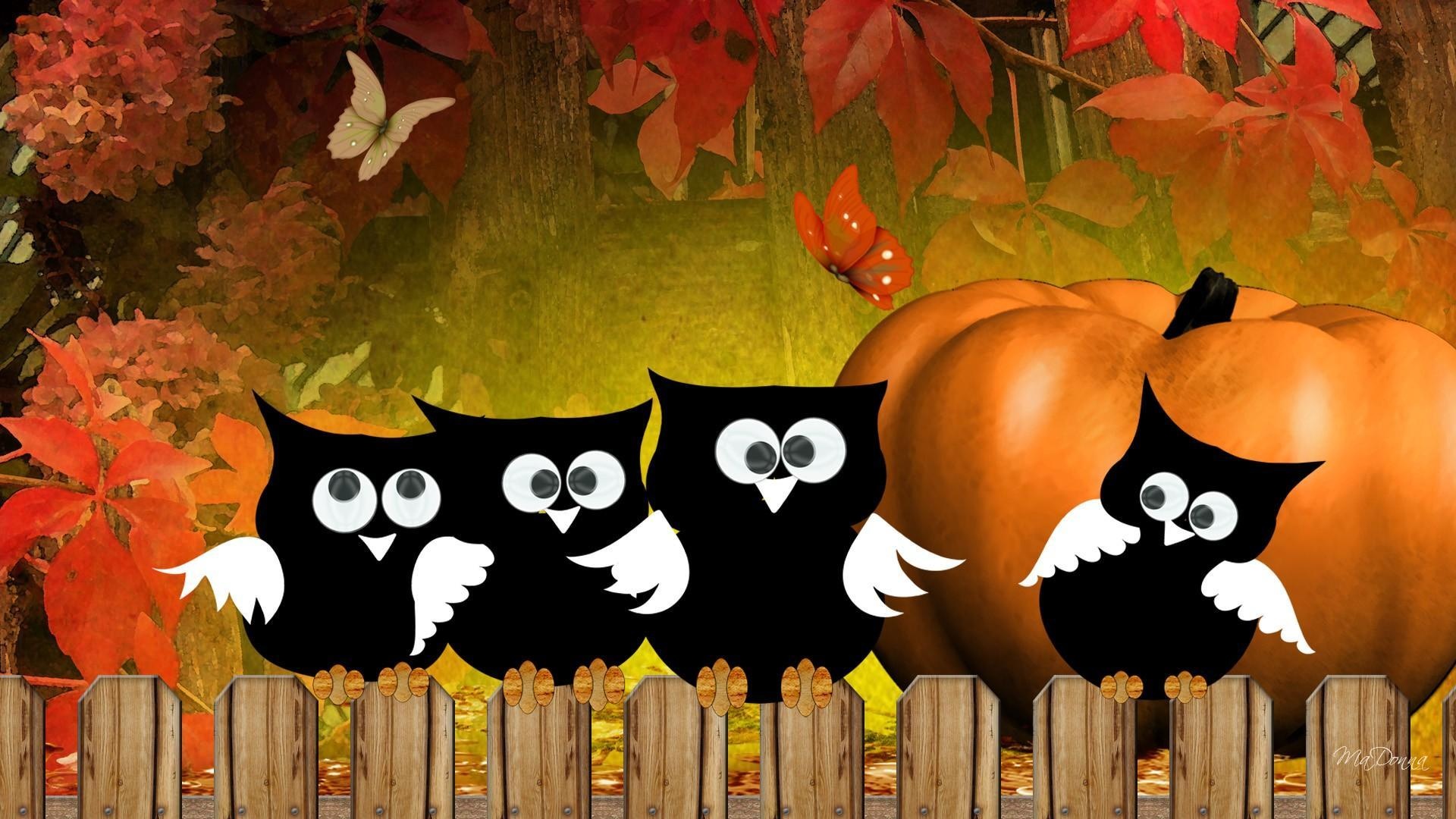 Preppy Halloween Owl Wallpapers - Wallpaper Cave