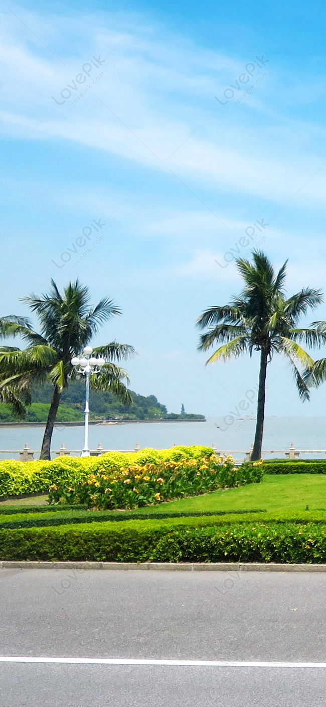 Summer Sea Road Wallpapers - Wallpaper Cave