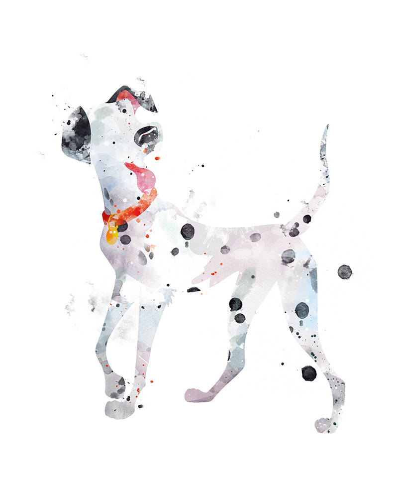 Pongo Wallpapers - Wallpaper Cave