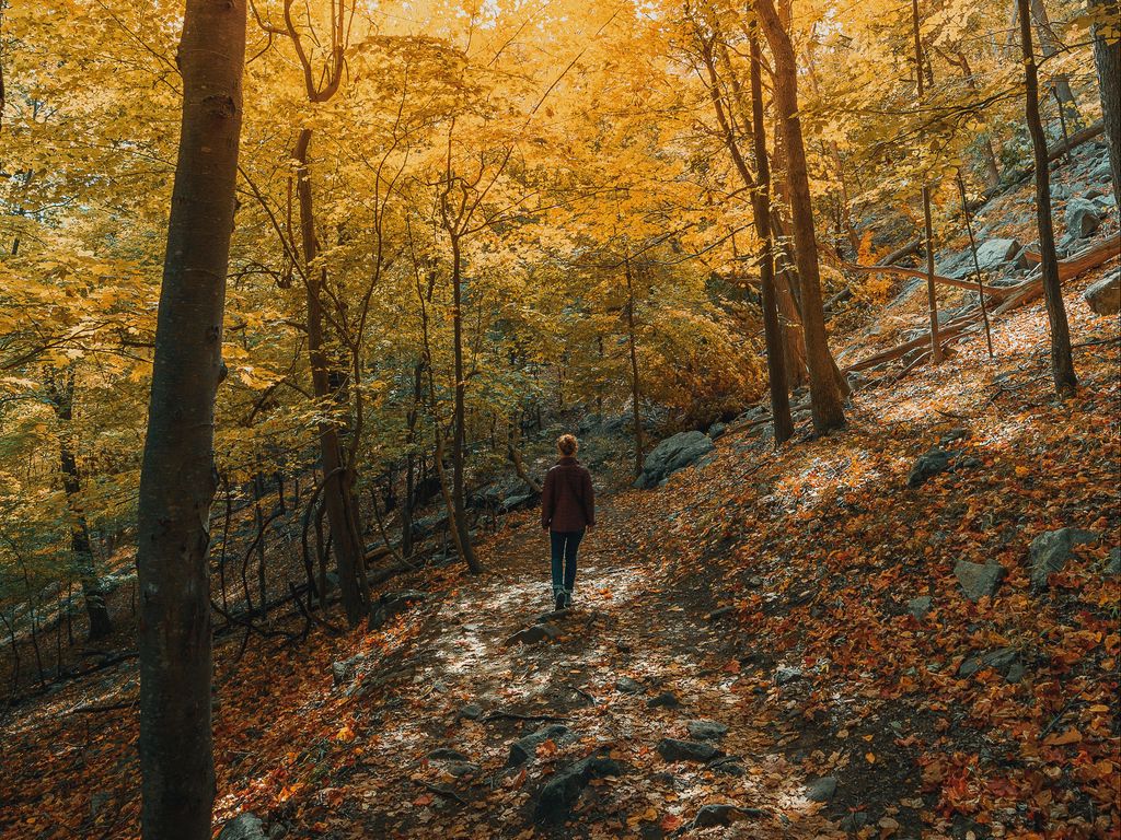 Girls Forest Autumn Wallpapers - Wallpaper Cave