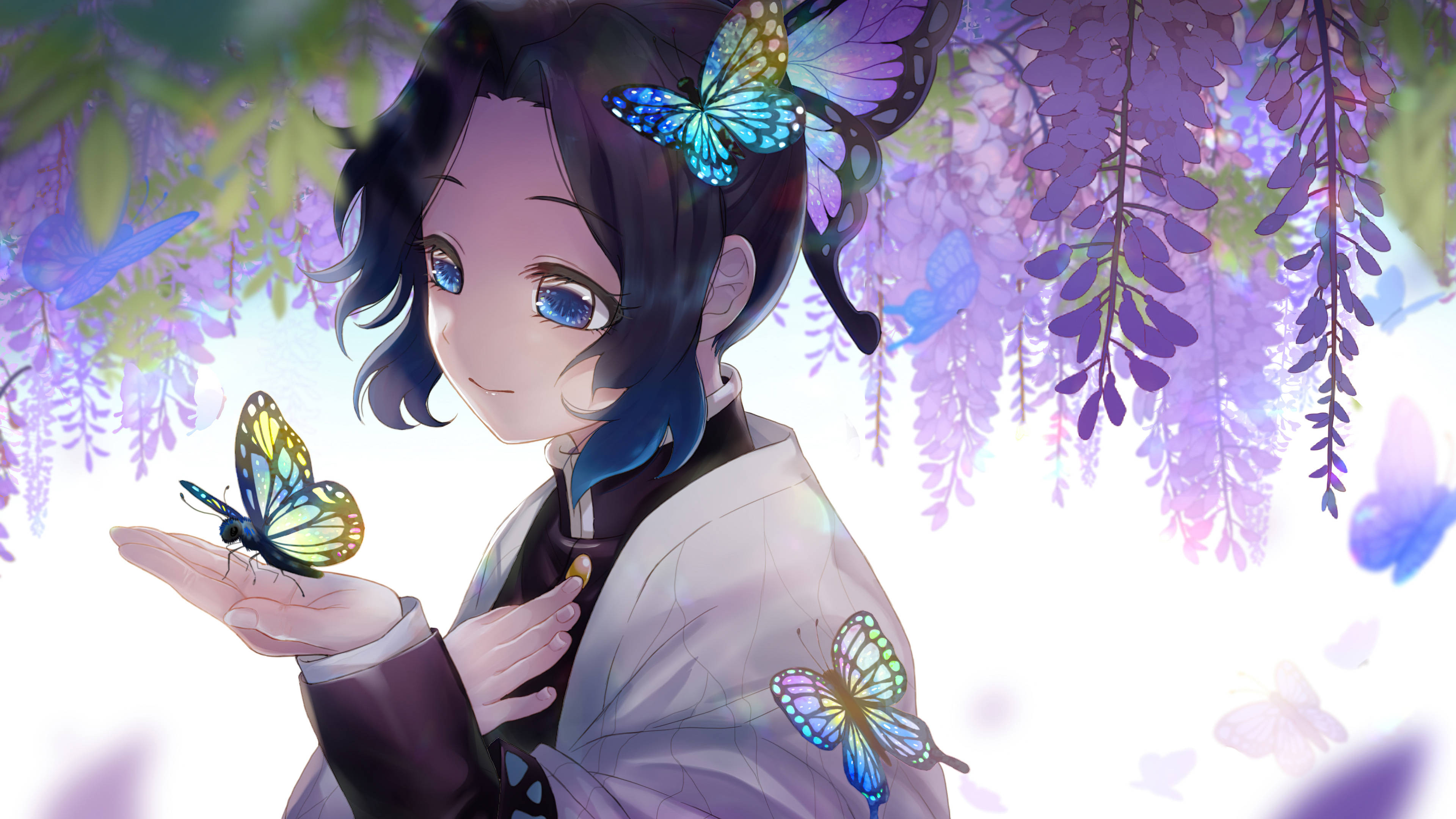 Shinobu Computer Wallpapers - Wallpaper Cave