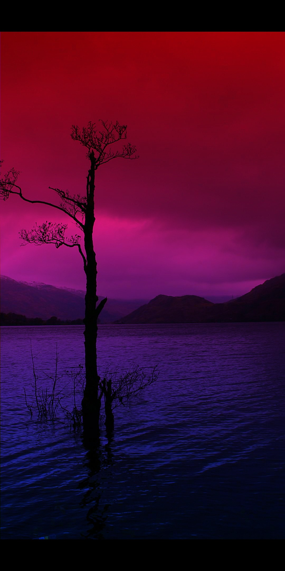 Subtle Bi Wallpapers - Wallpaper Cave