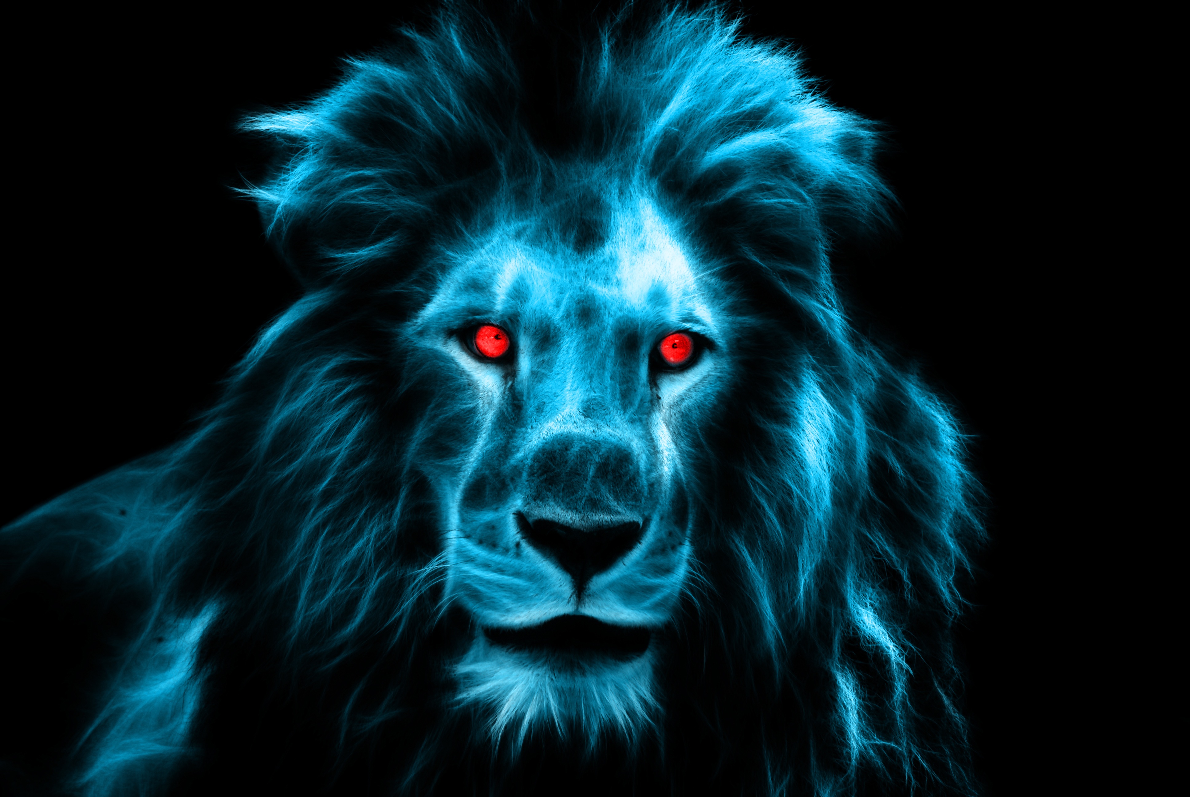 Big Lion Wallpapers - Wallpaper Cave