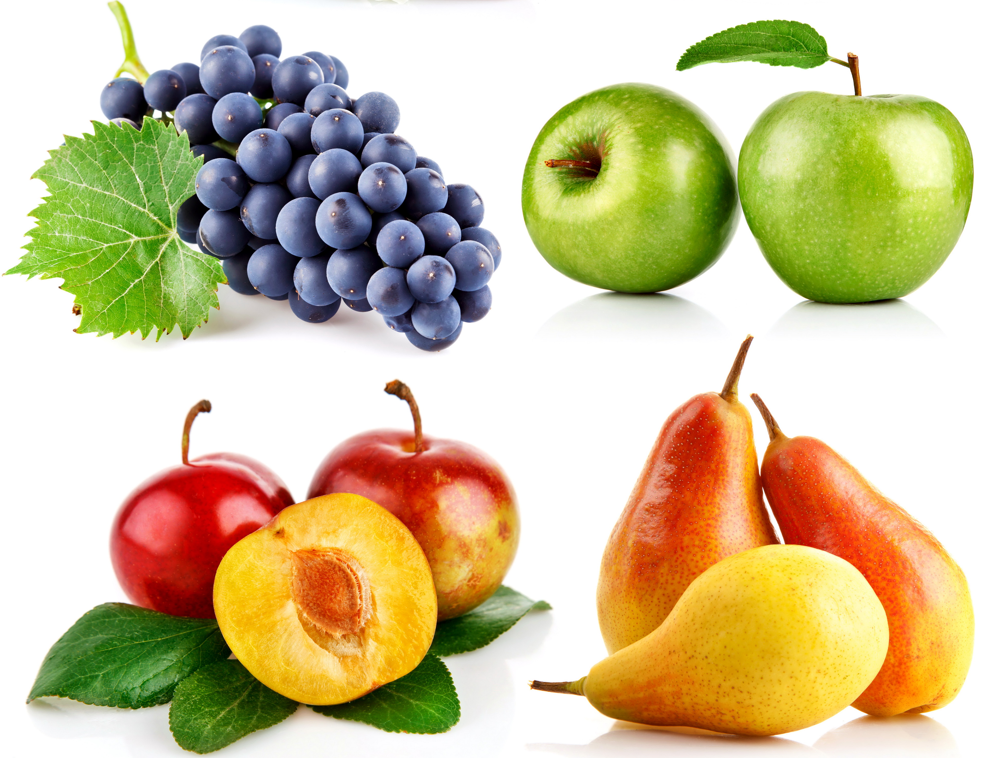 Mix Fruit Wallpapers - Wallpaper Cave