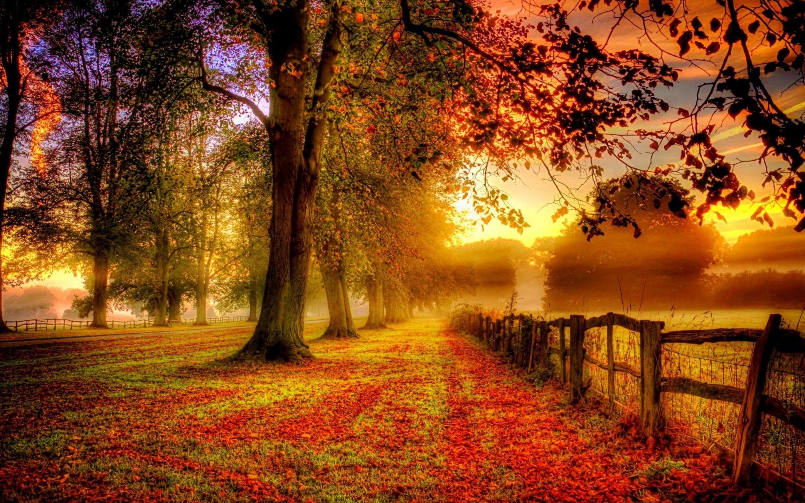 Autumn Backyard Wallpapers - Wallpaper Cave