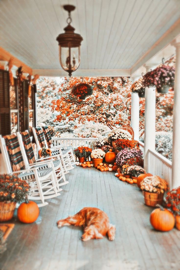 Autumn Backyard Wallpapers - Wallpaper Cave