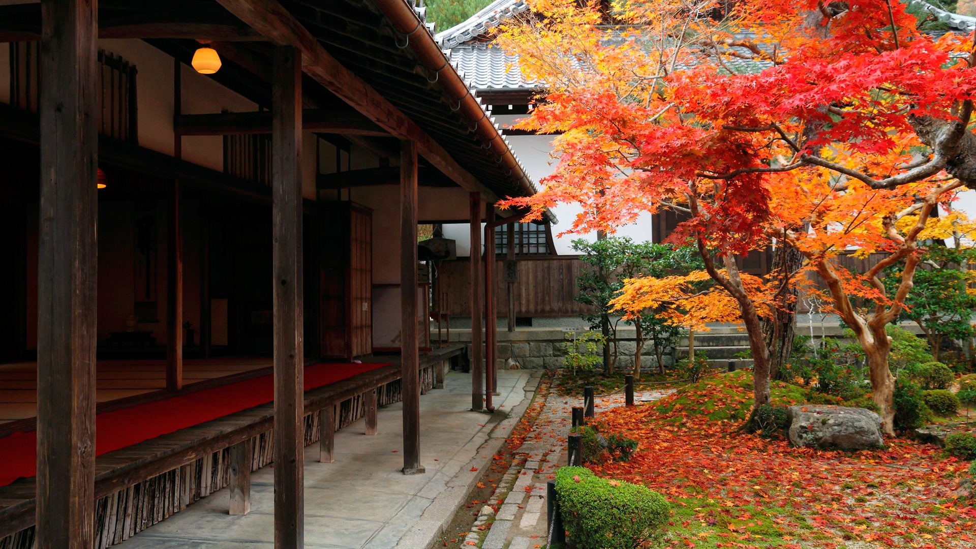 Autumn Backyard Wallpapers - Wallpaper Cave