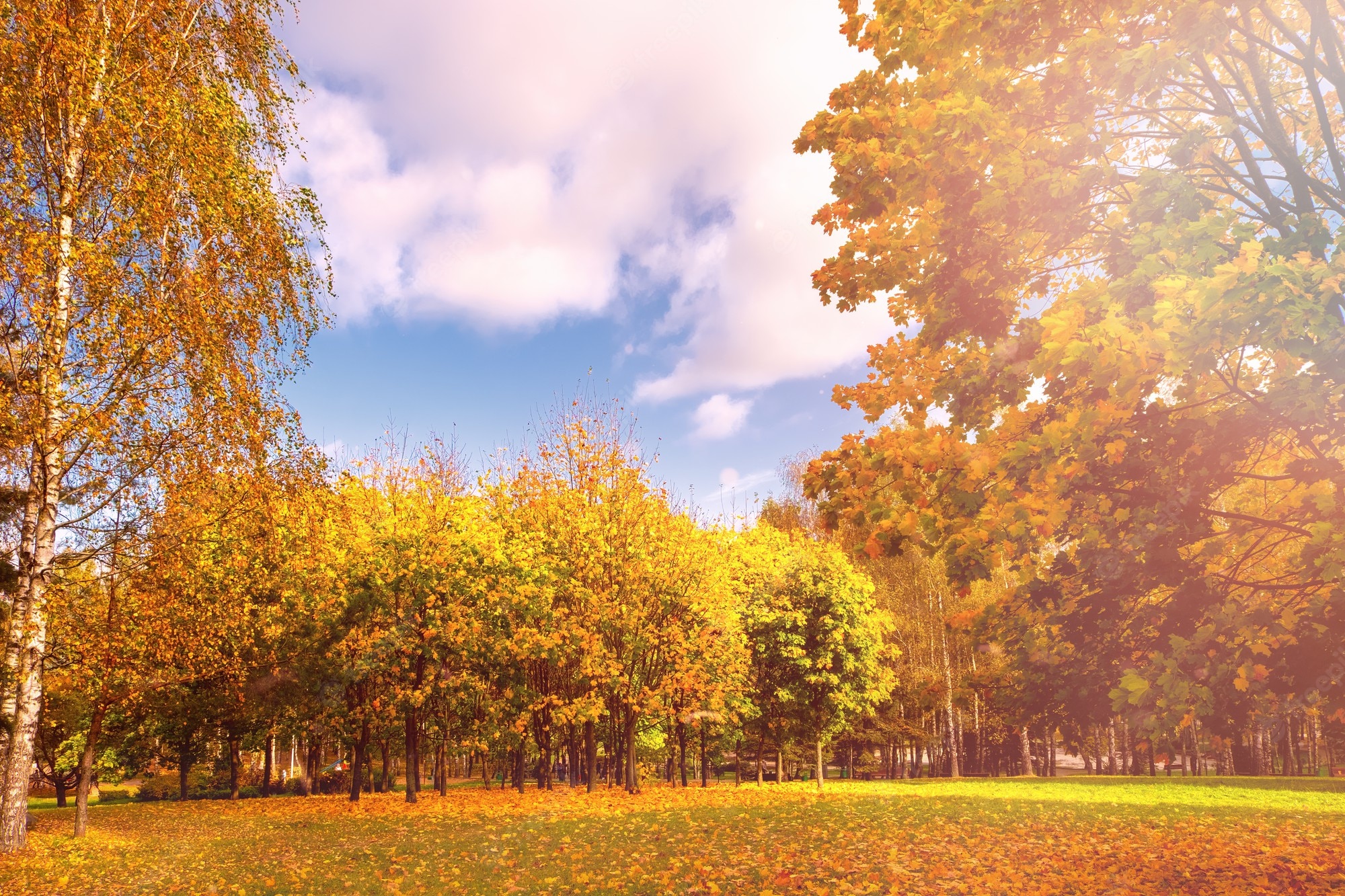 Beautiful Autumn Scenery Trees Wallpapers - Wallpaper Cave