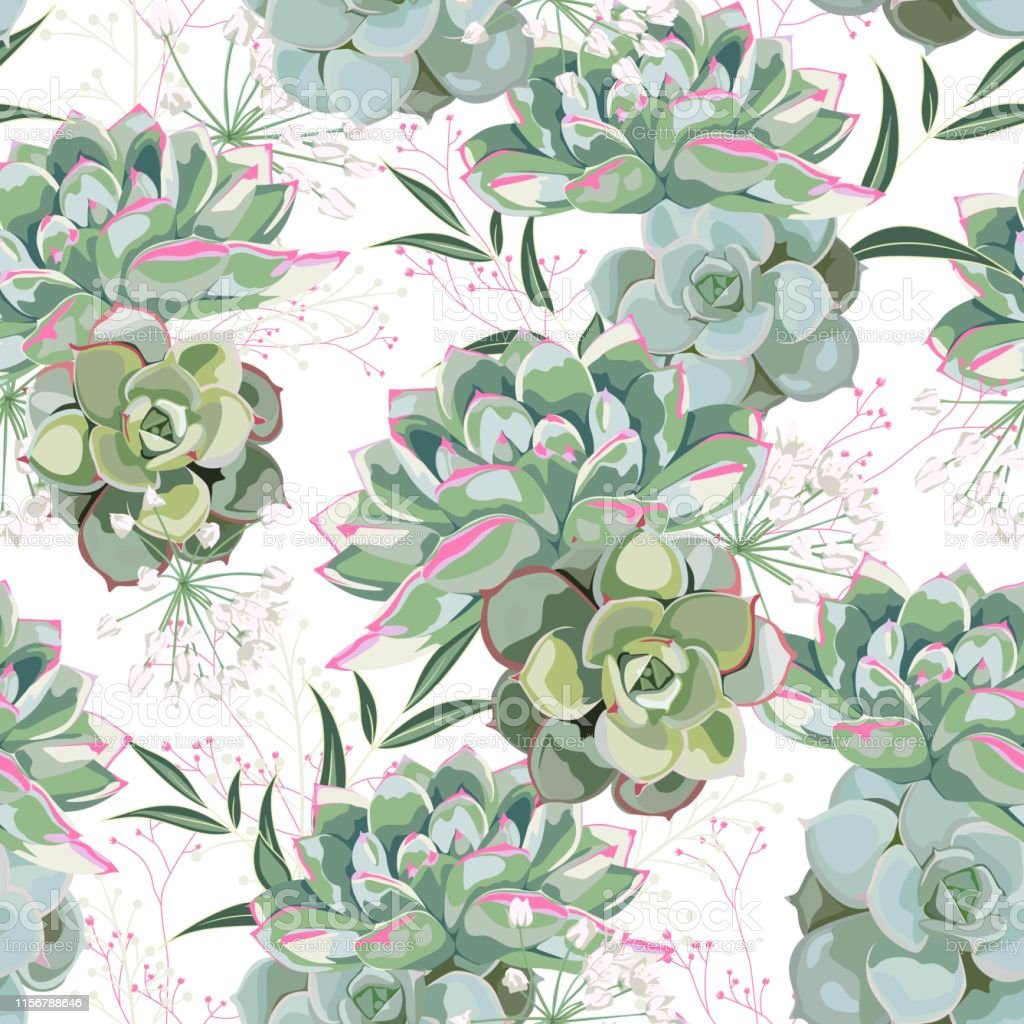 Succulent Flower Wallpapers - Wallpaper Cave