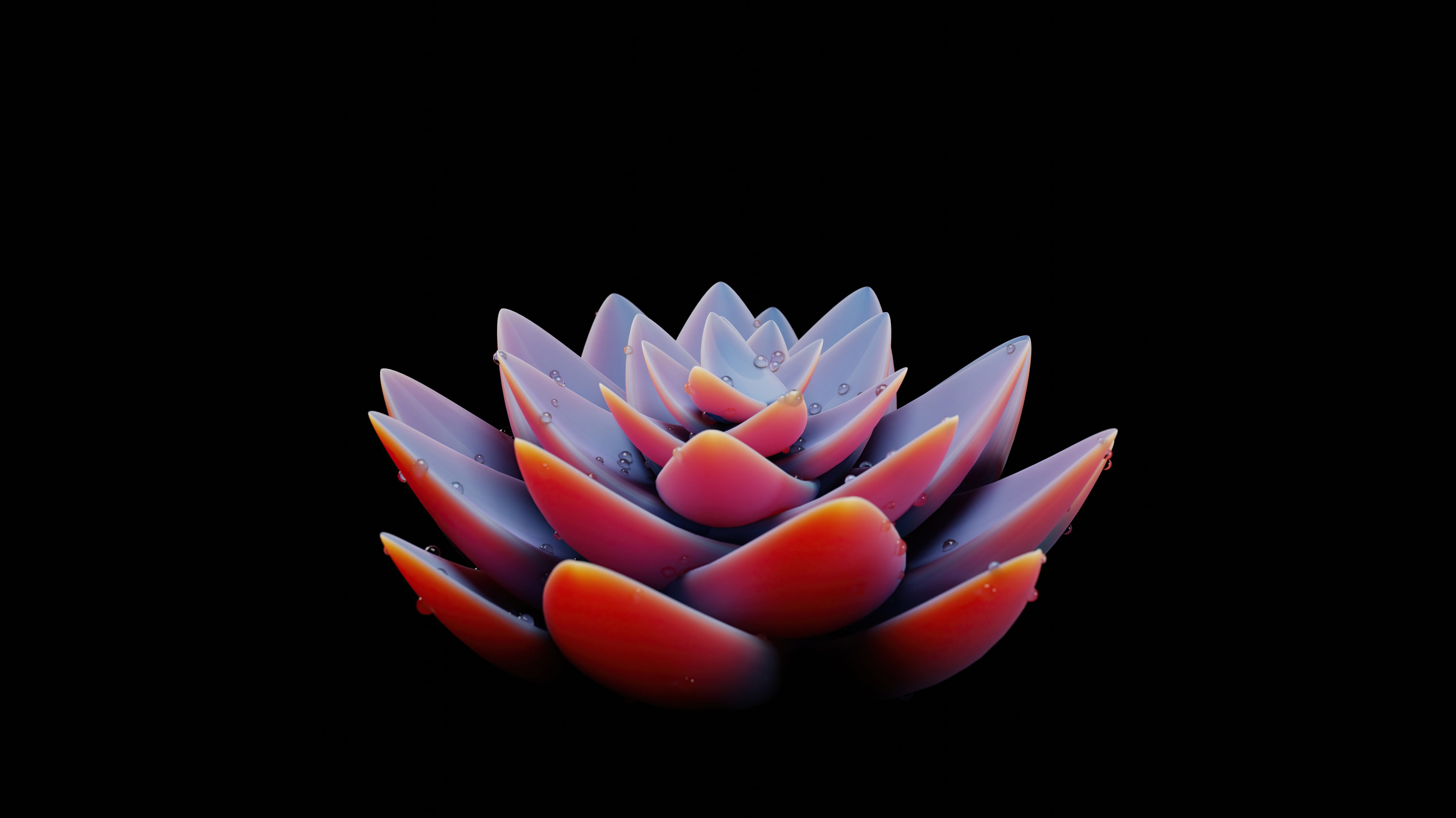 Succulent Flower Wallpapers - Wallpaper Cave