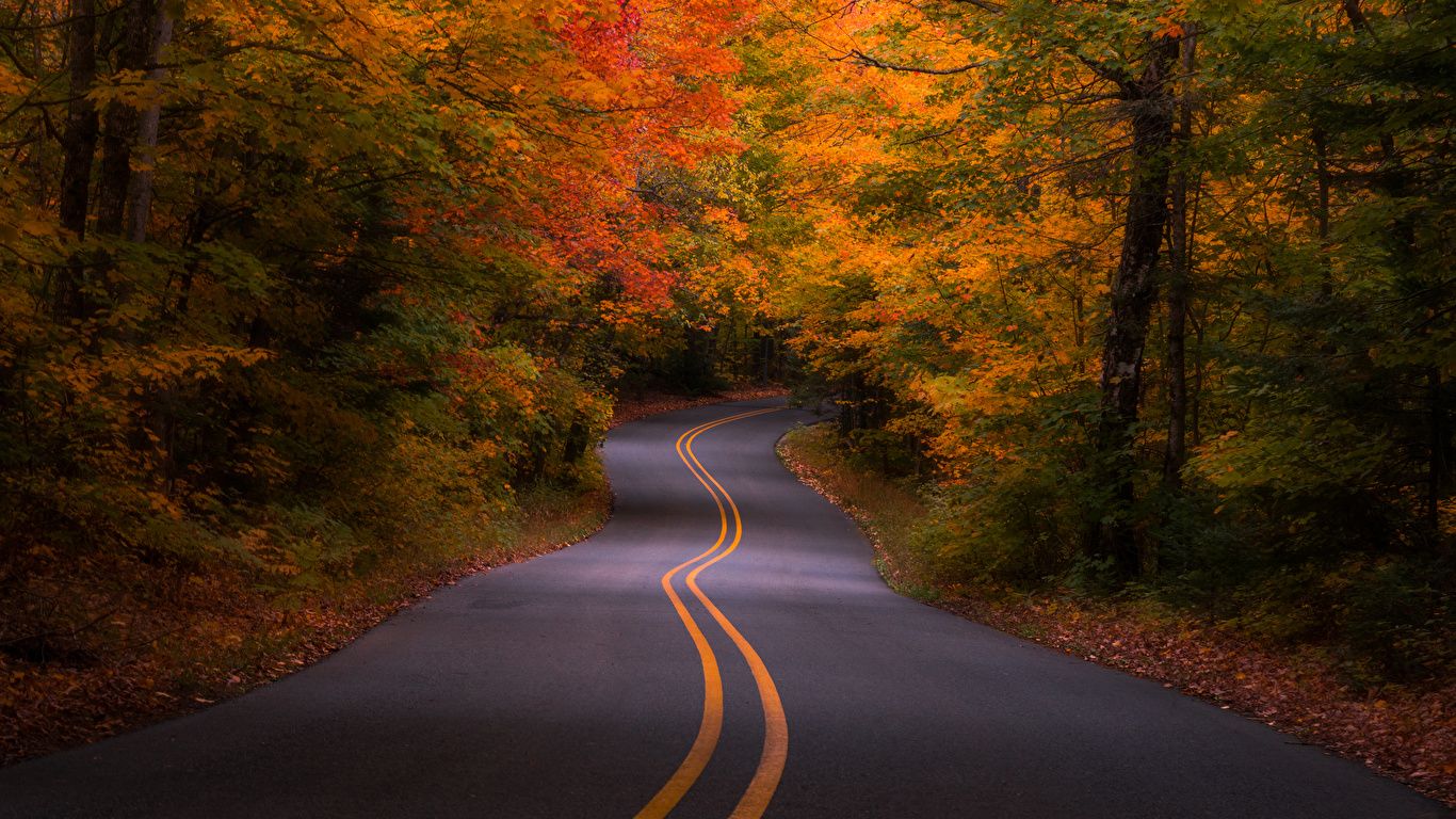 Autumn Road Desktop Background