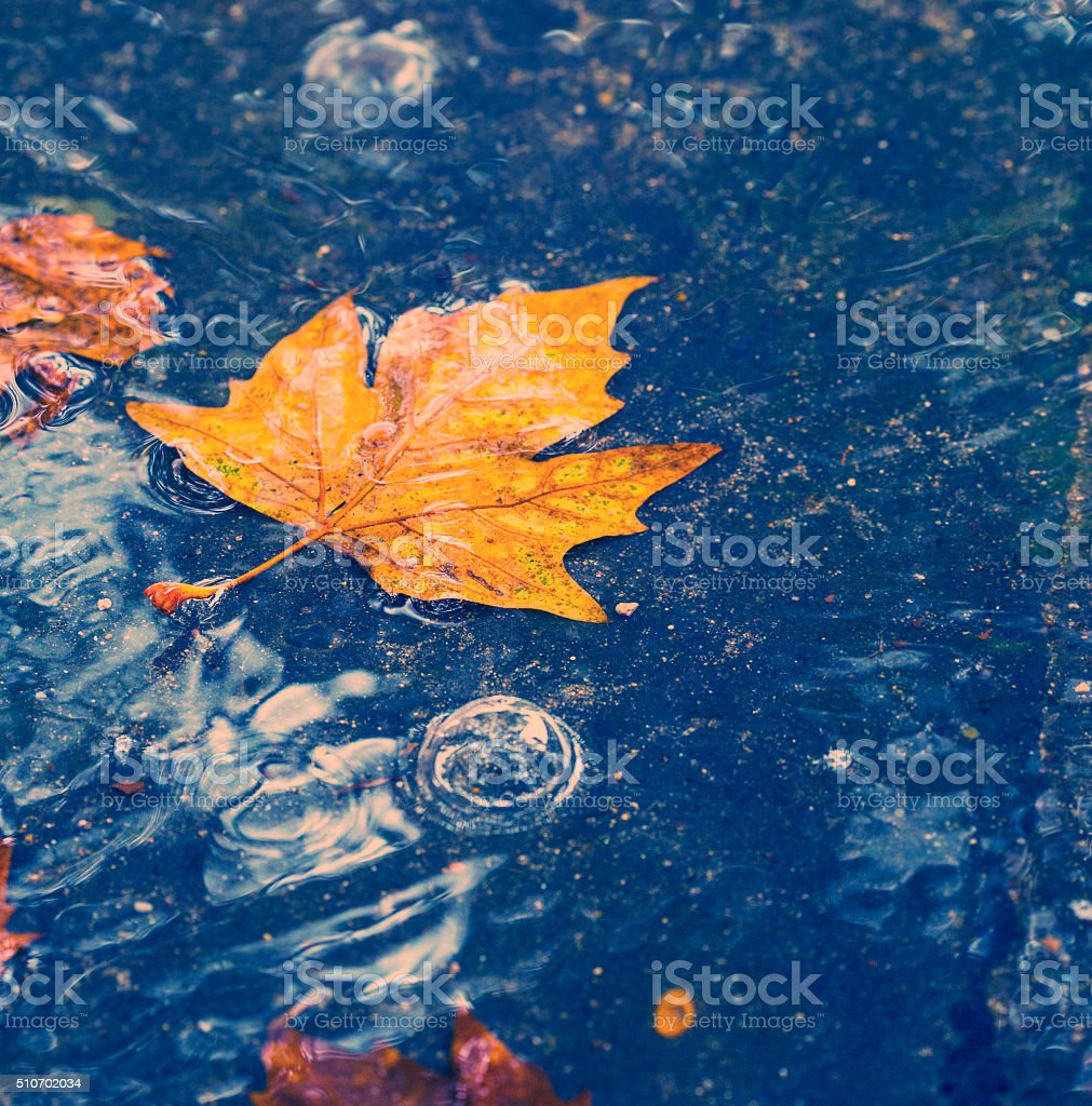 Autumn Pool Wallpapers - Wallpaper Cave