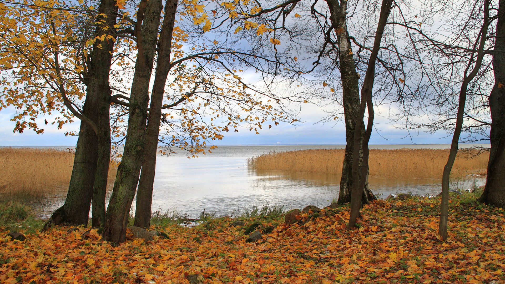 Autumn Pool Wallpapers - Wallpaper Cave