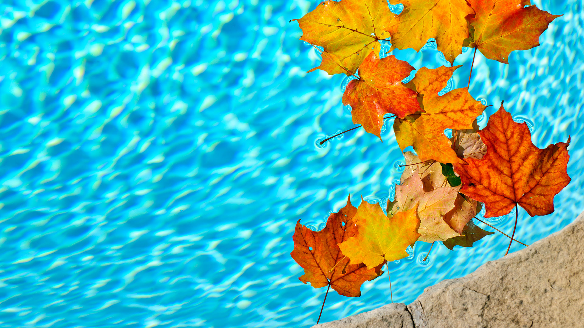 Autumn Pool Wallpapers - Wallpaper Cave