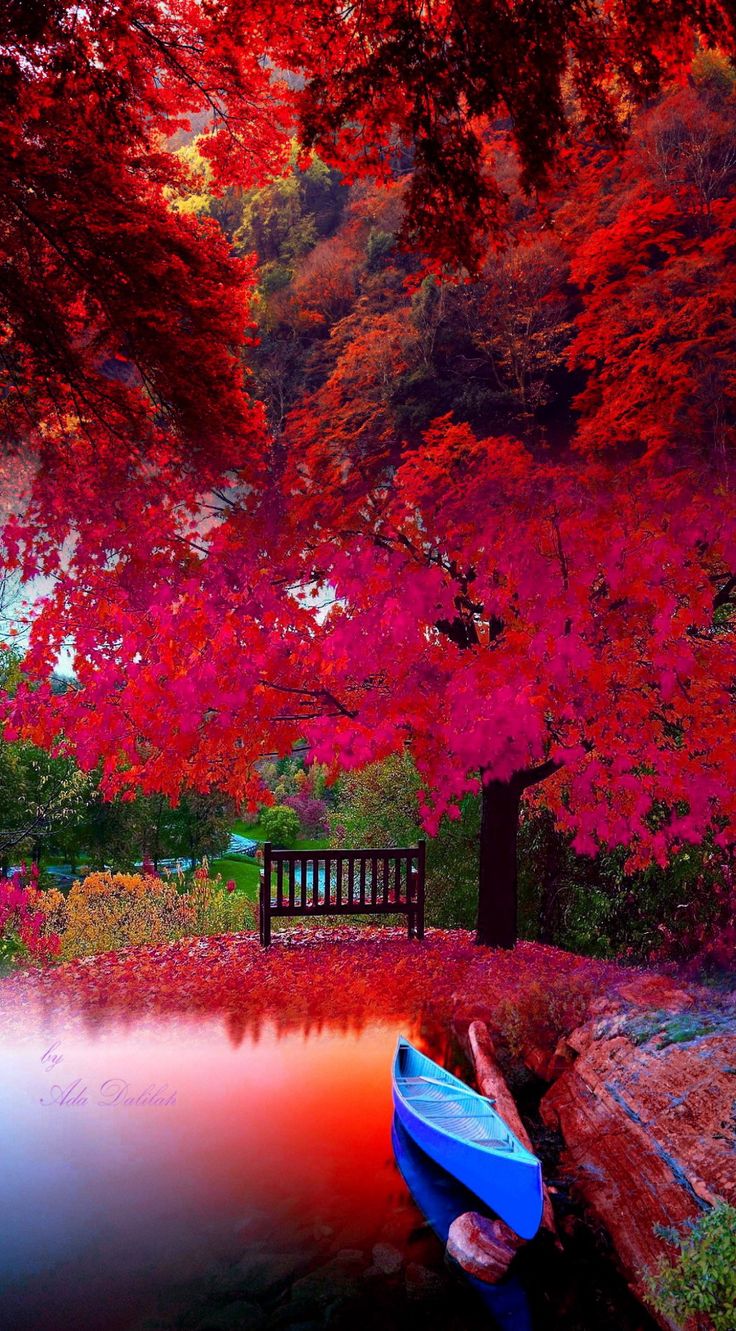 Autumn Pool Wallpapers - Wallpaper Cave