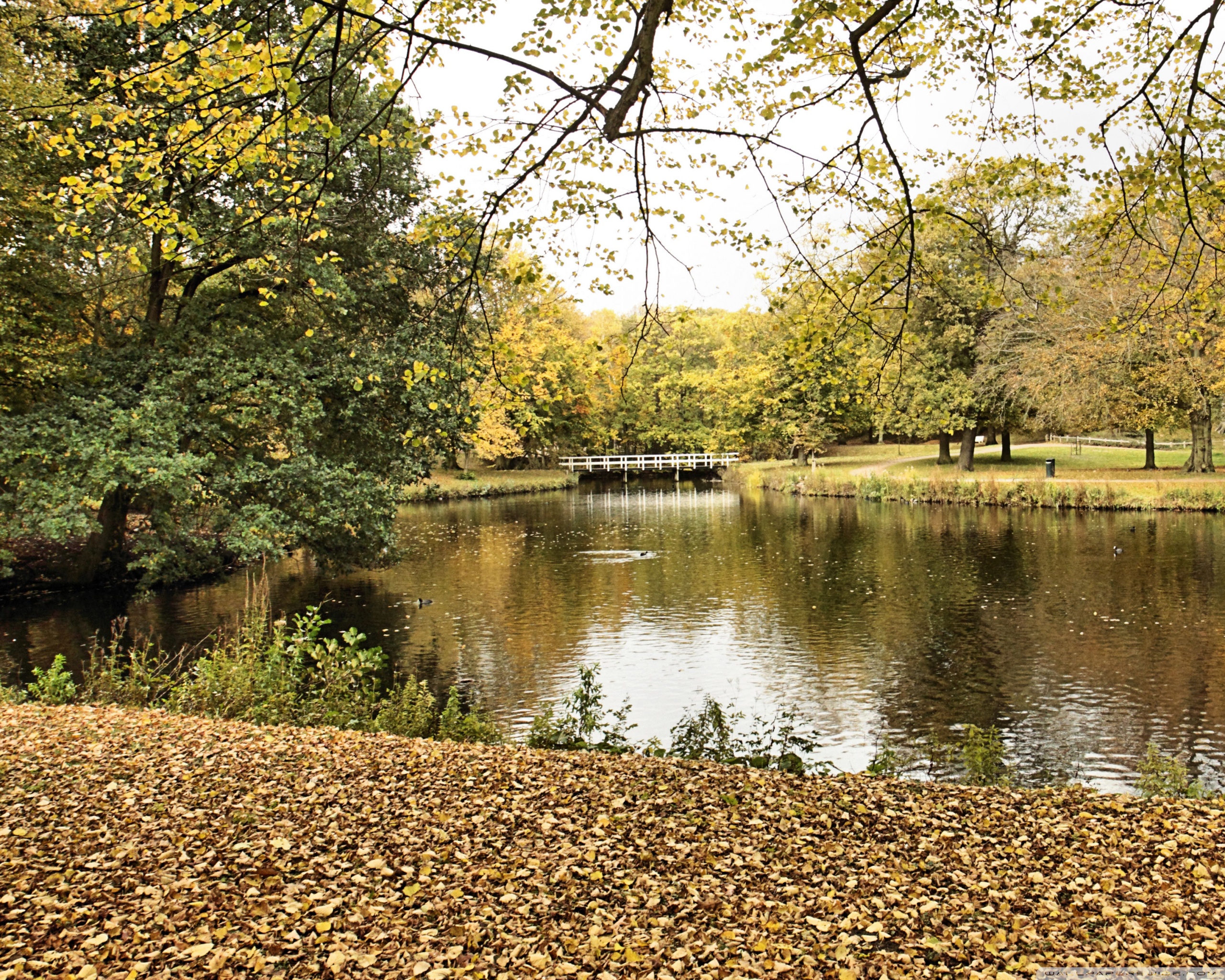 Autumn Pool Wallpapers - Wallpaper Cave