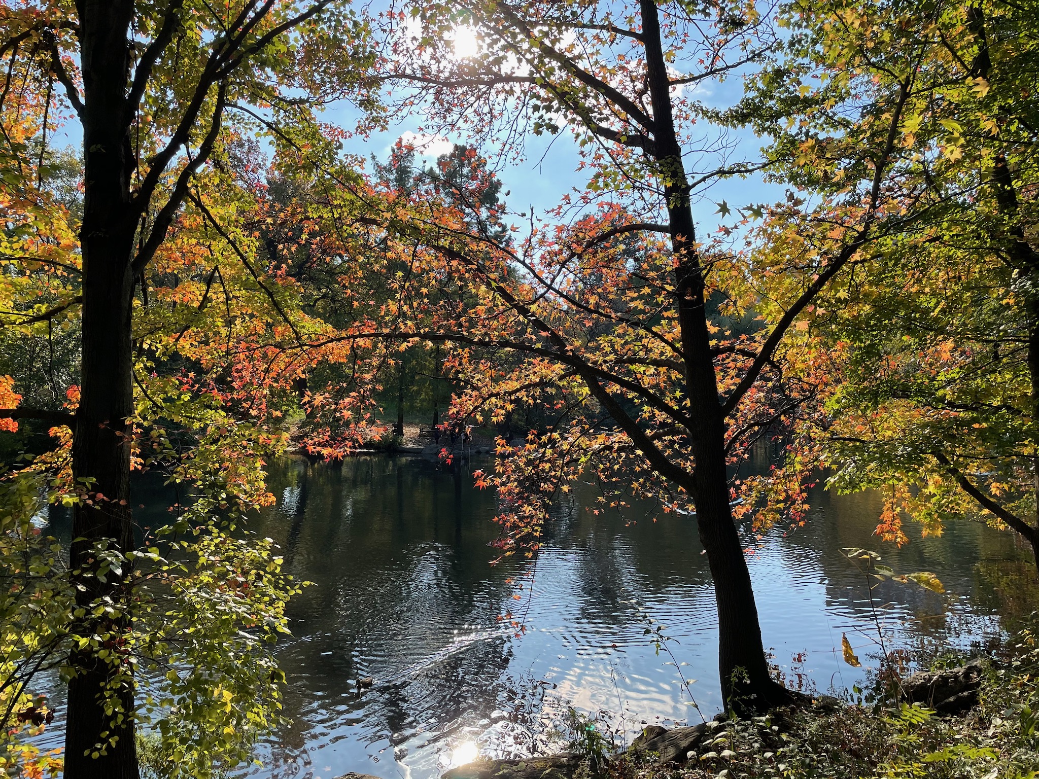 Autumn Pool Wallpapers - Wallpaper Cave