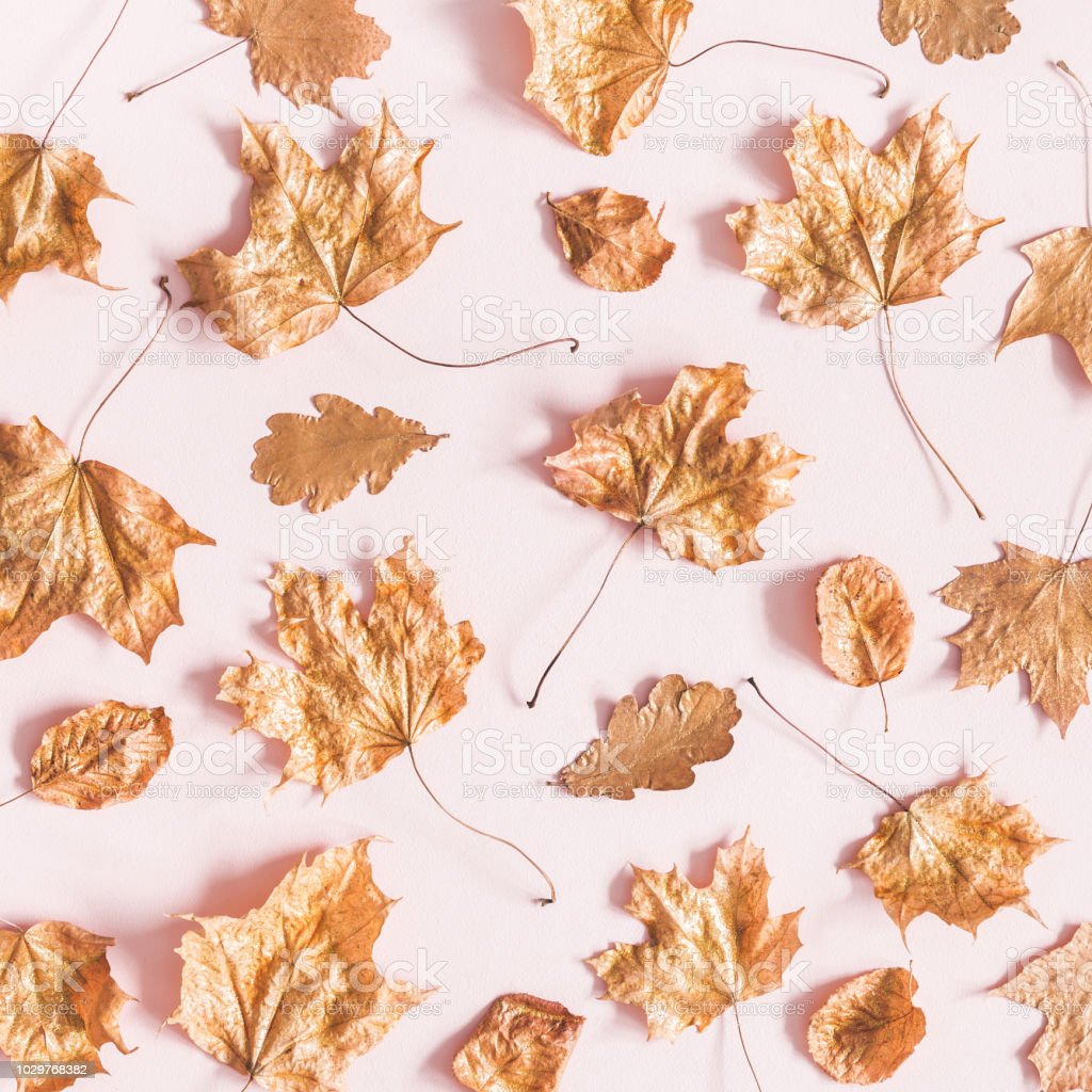 Autumn Season Pink Wallpapers - Wallpaper Cave