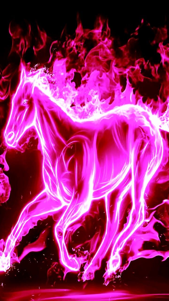 Neon Pink Horse Wallpapers - Wallpaper Cave