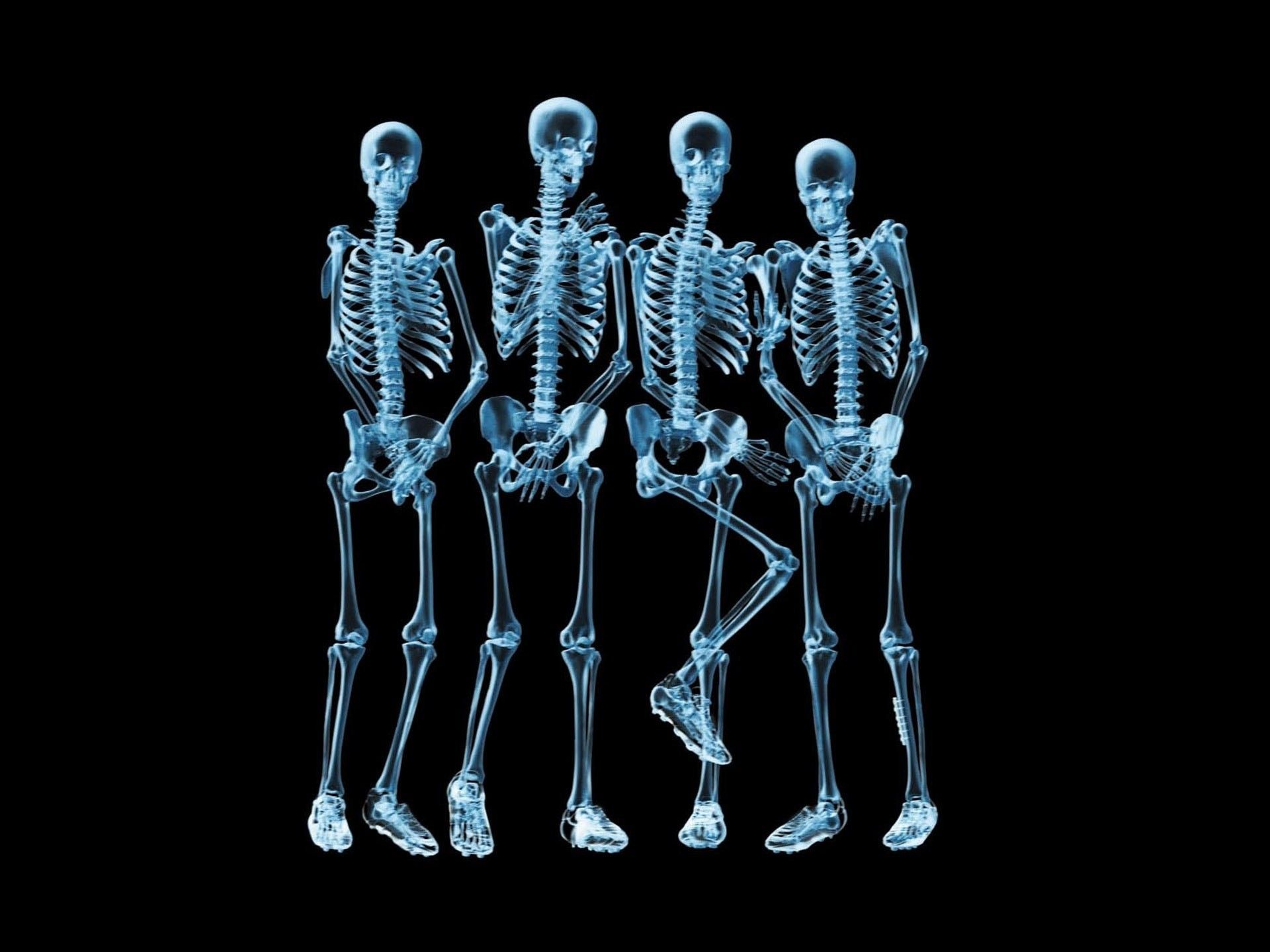 Xray Skeleton Halloween Computer Wallpapers - Wallpaper Cave