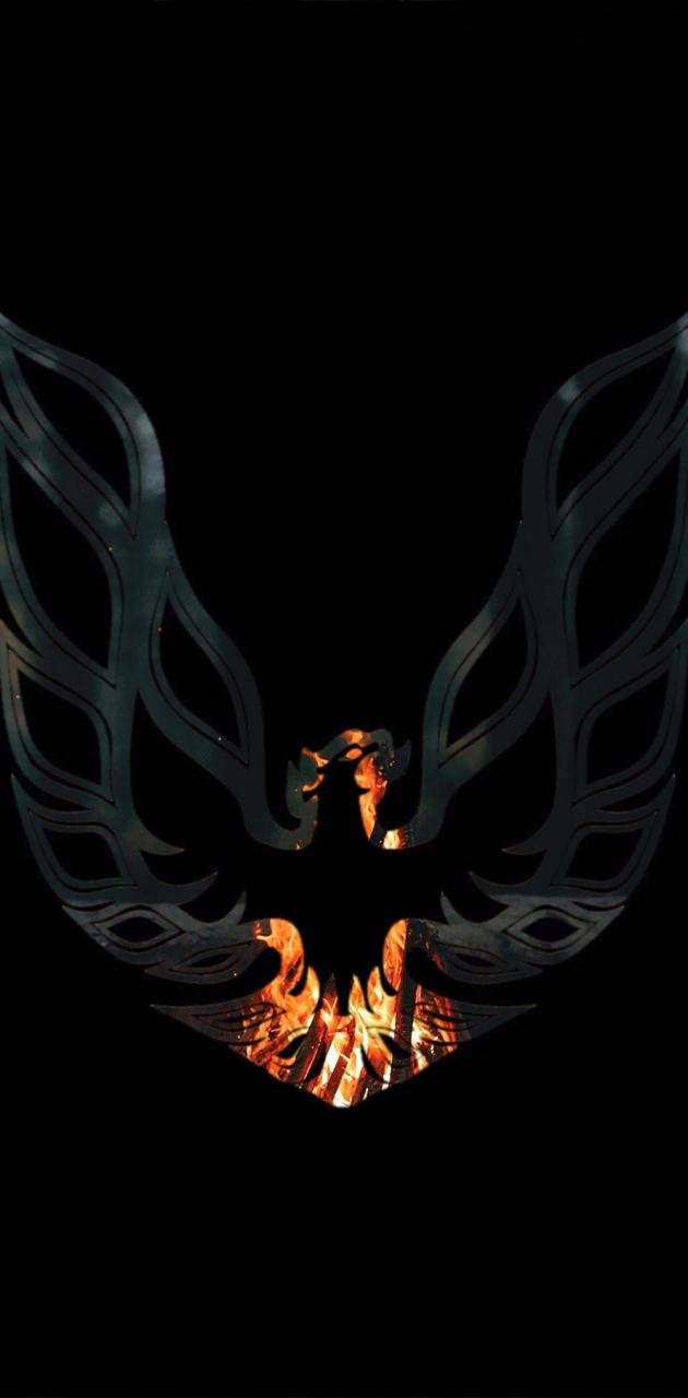 Pheonix Phone Wallpapers - Wallpaper Cave