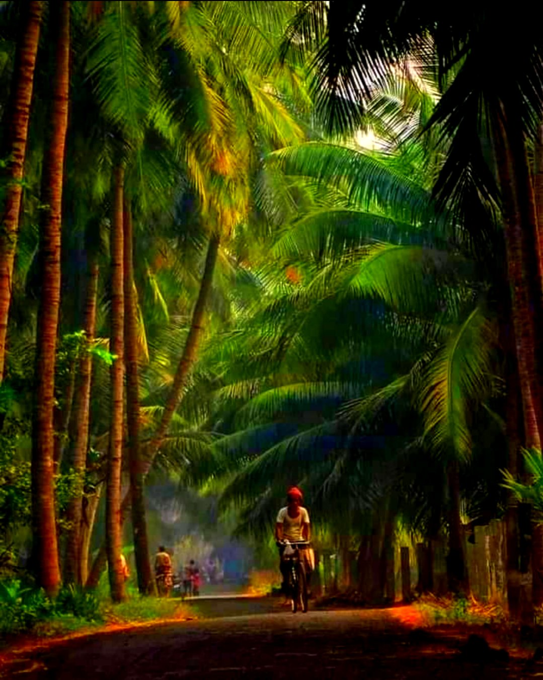 Kerala Village Wallpapers - Wallpaper Cave